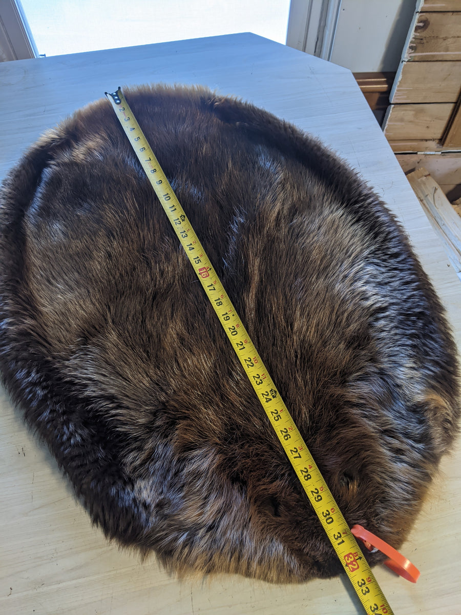 Tanned Beaver Pelt – Trapping Today